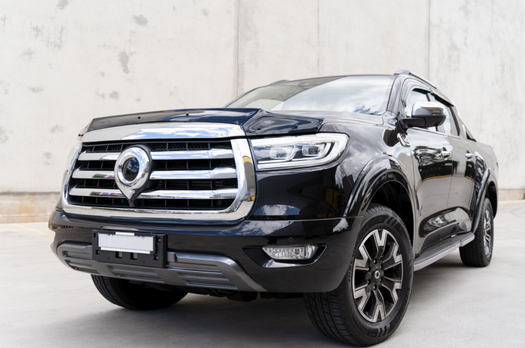 GWM CANNON 2020+ DUAL CAB TINTED BONNET PROTECTOR – Instinct Vehicle ...