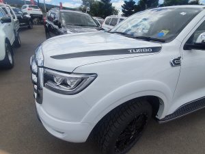 GWM CANNON CUSTOM DESIGNED AND CUT DECAL KIT – Instinct Vehicle ...